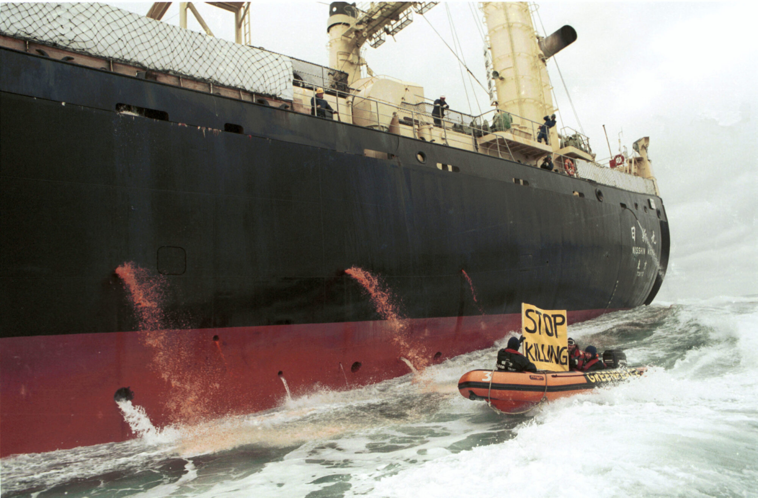 In pictures: how Greenpeace stopped commercial whale hunting – and why ...