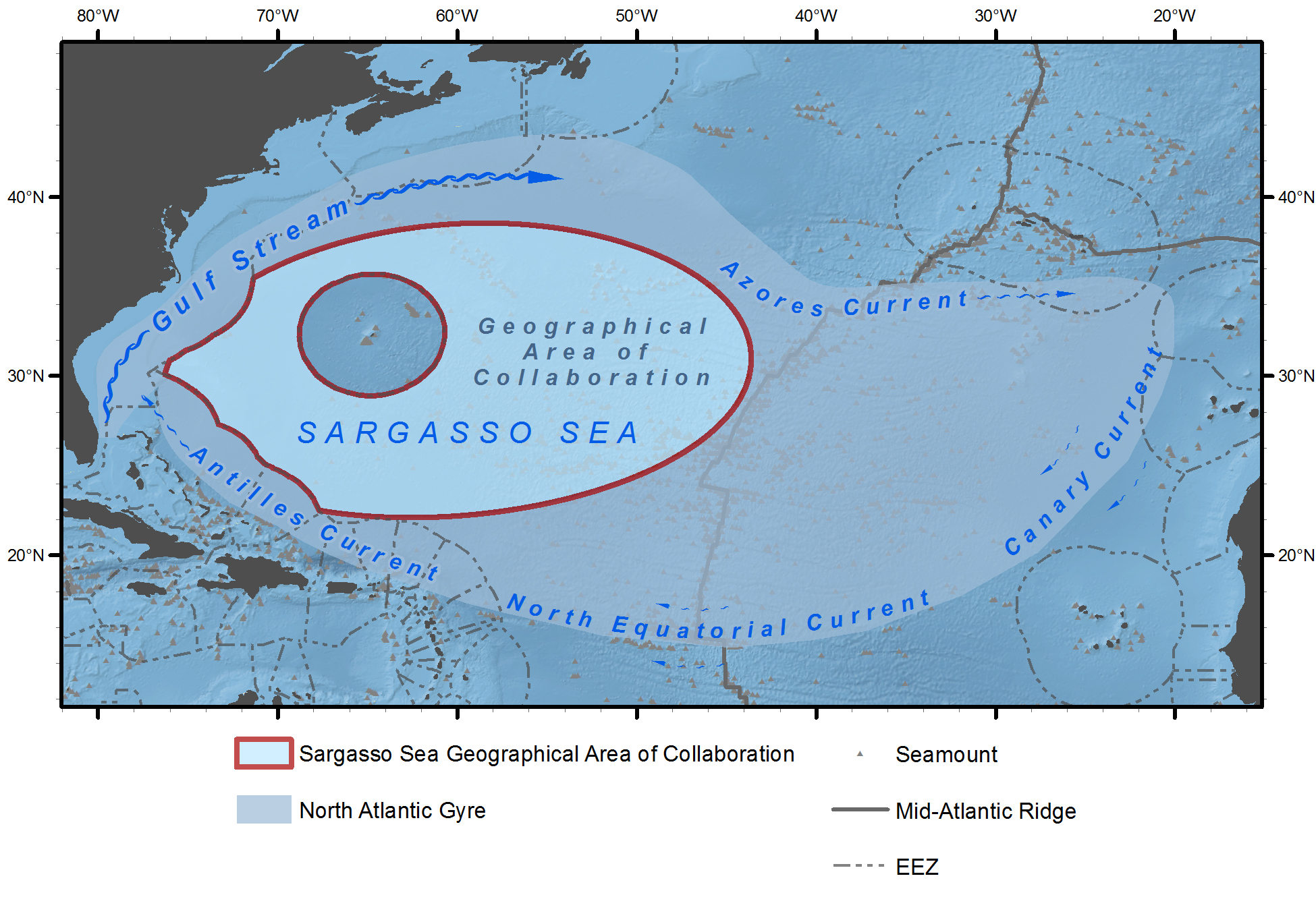 The Sargasso Sea – the 'golden floating rainforest' in the North Atlantic