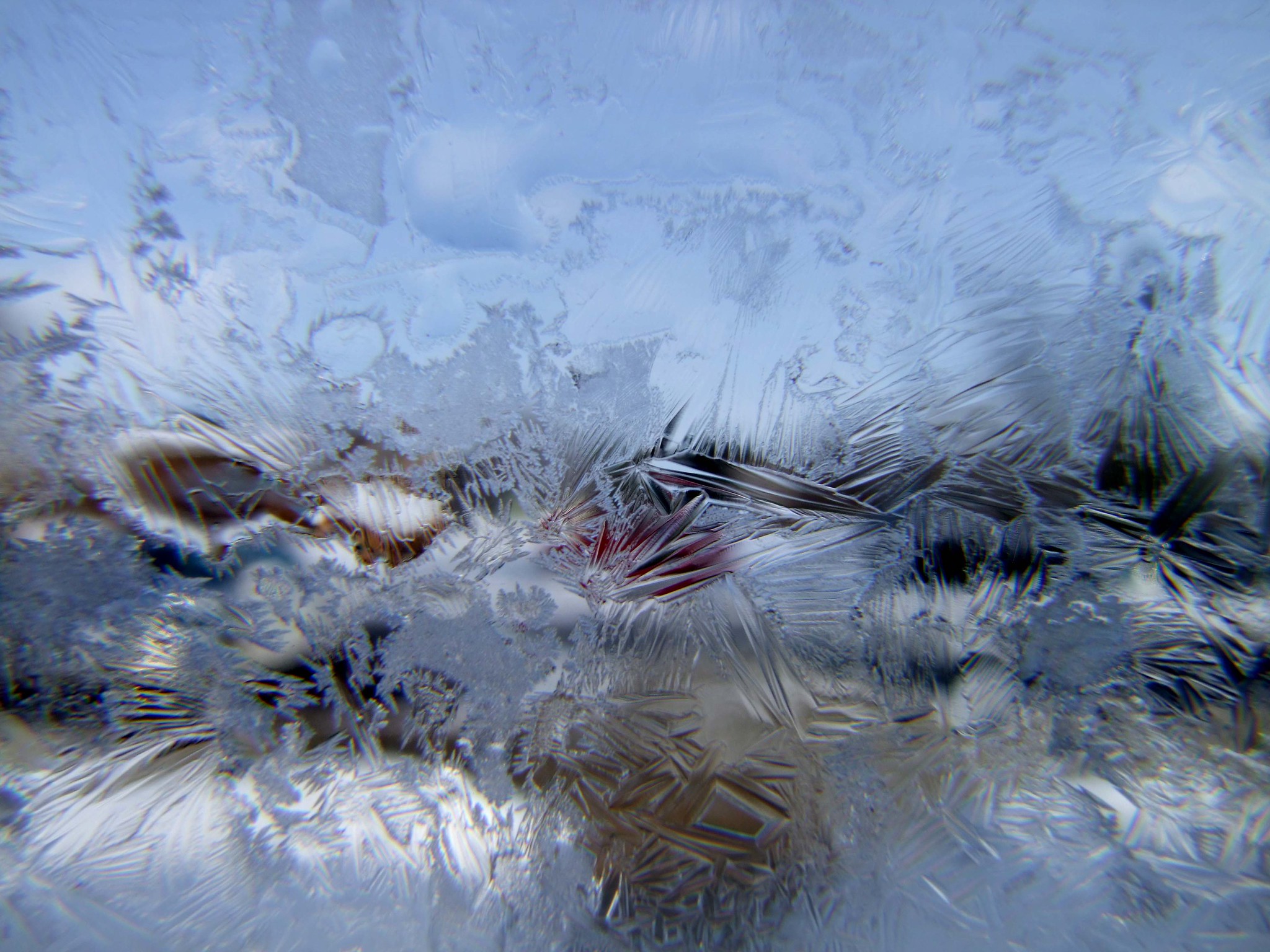 "I live in constant fear that the cold is going to kill me" - Greenpeace UK