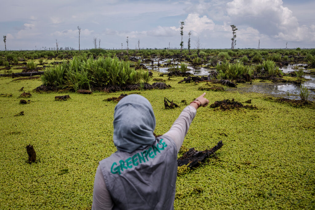 Greenpeace Environmental Trust