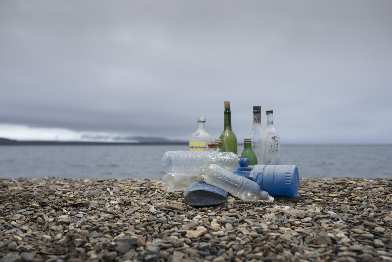 How deposit return schemes help tackle plastic pollution - Greenpeace UK