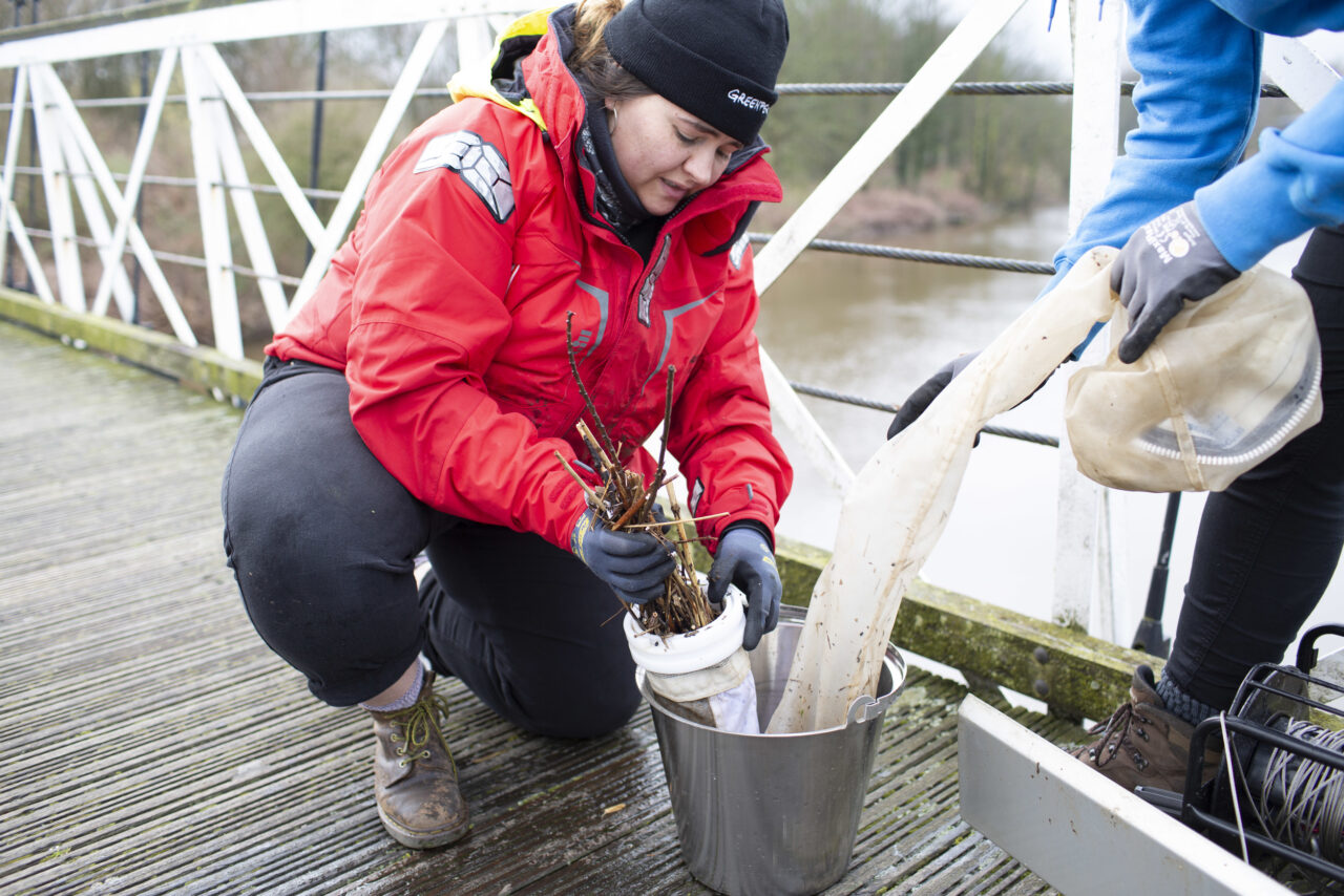 Funding and governance - Greenpeace Environmental Trust