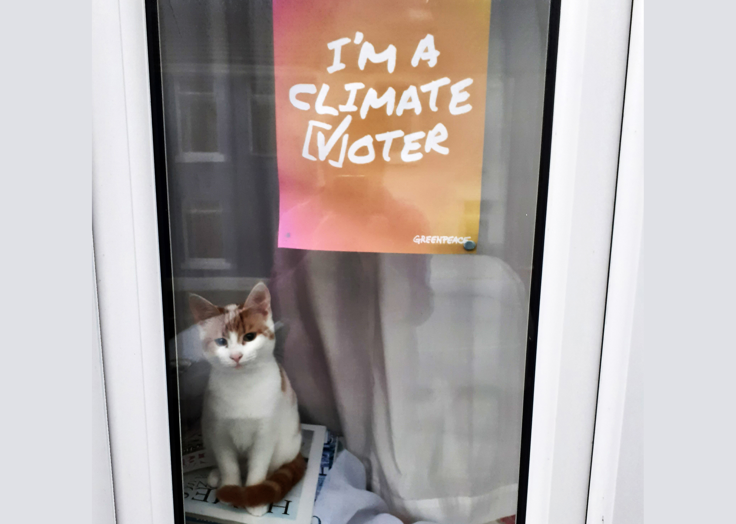 Project Climate Vote: how the UK’s climate majority found its voice ...