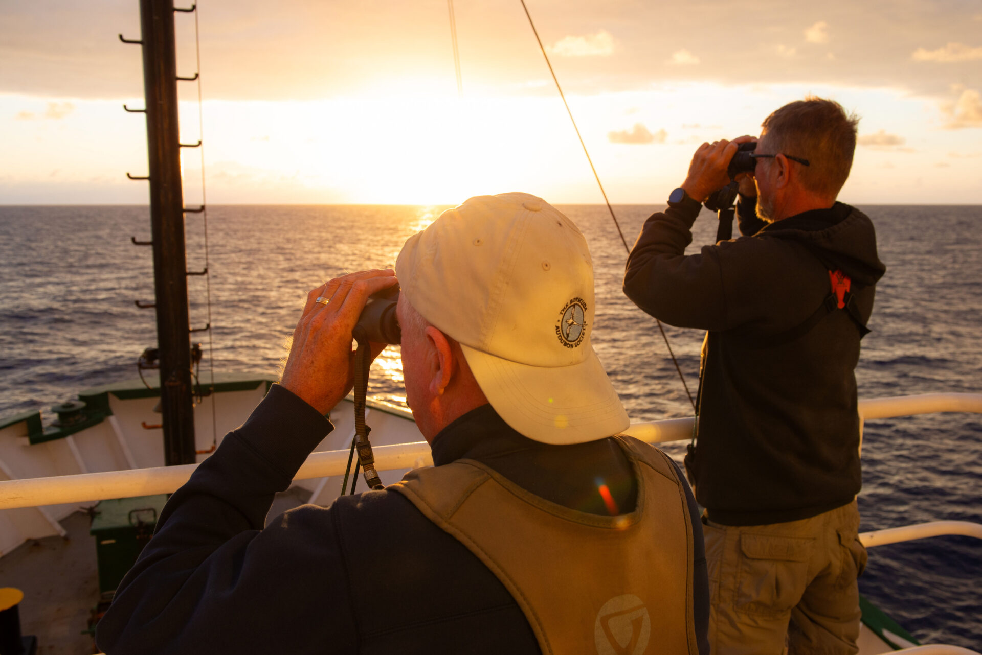 Exploring the Bermuda Triangle: Greenpeace in the Sargasso Sea ...