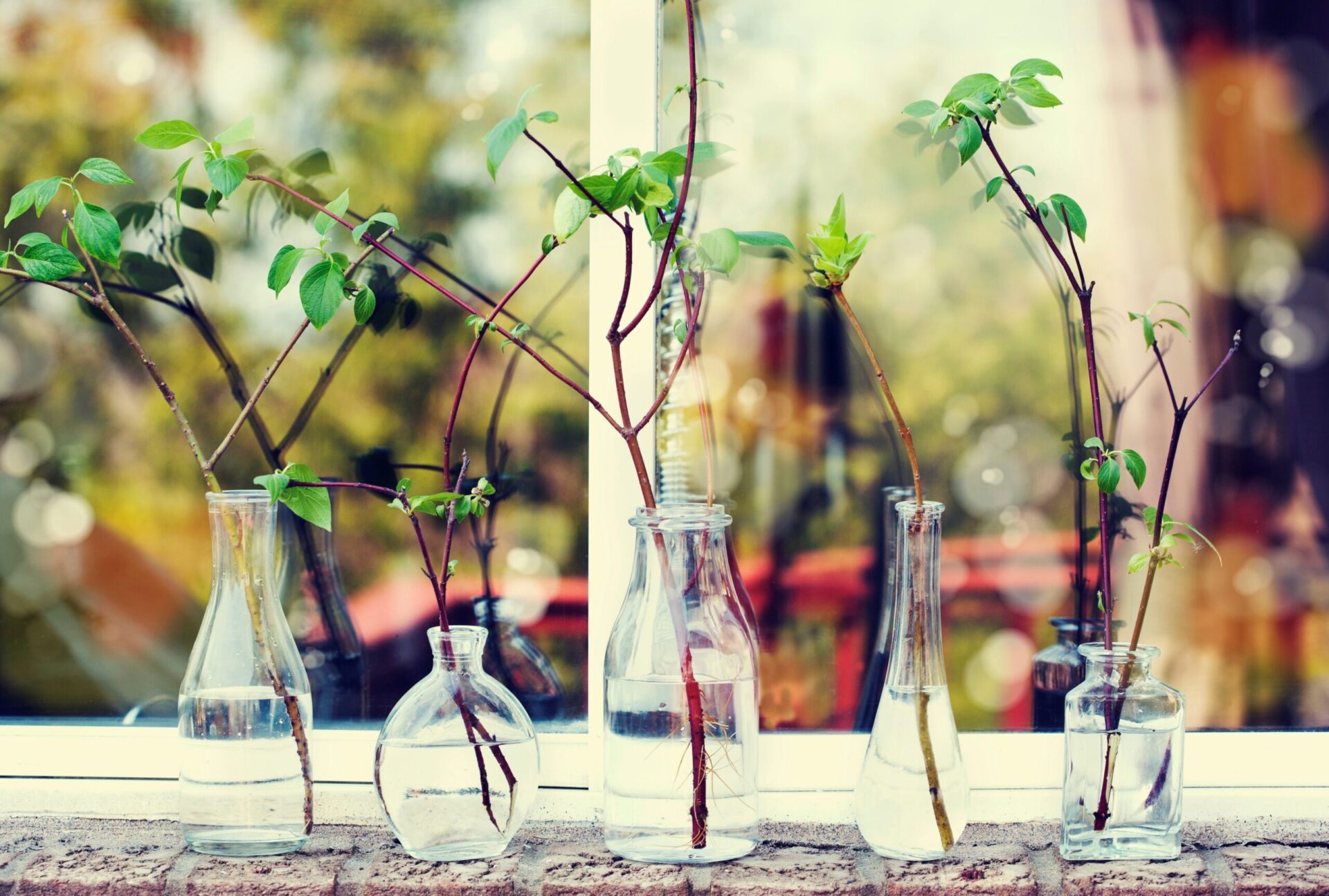 30+ ways to green your home - Greenpeace UK