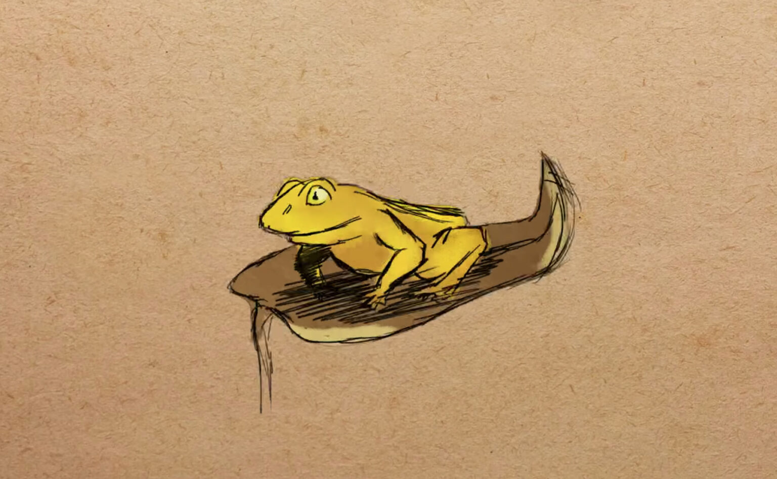 18 animals that became extinct in the last century - Greenpeace UK