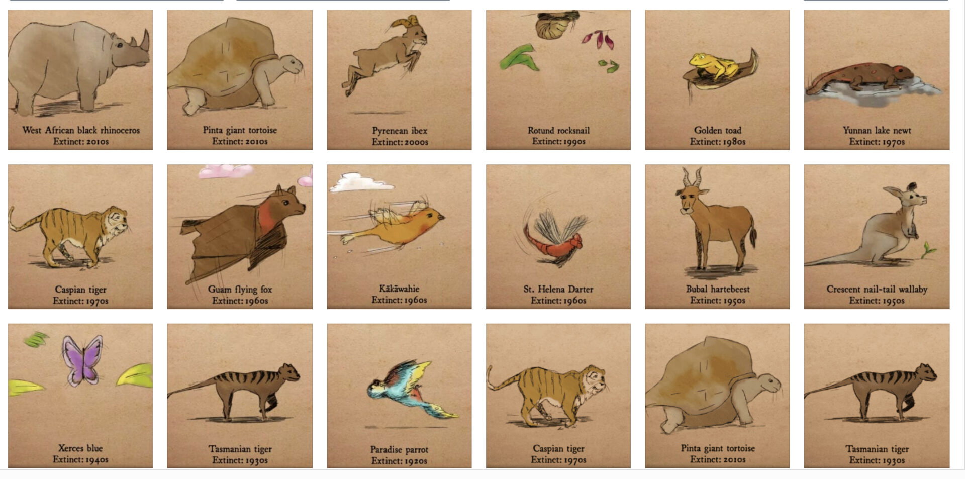 18 animals that became extinct in the last century - Greenpeace UK