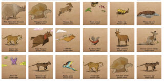 18 animals that became extinct in the last century - Greenpeace UK