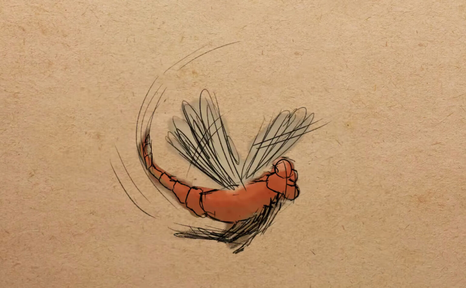 18 animals that became extinct in the last century - Greenpeace UK