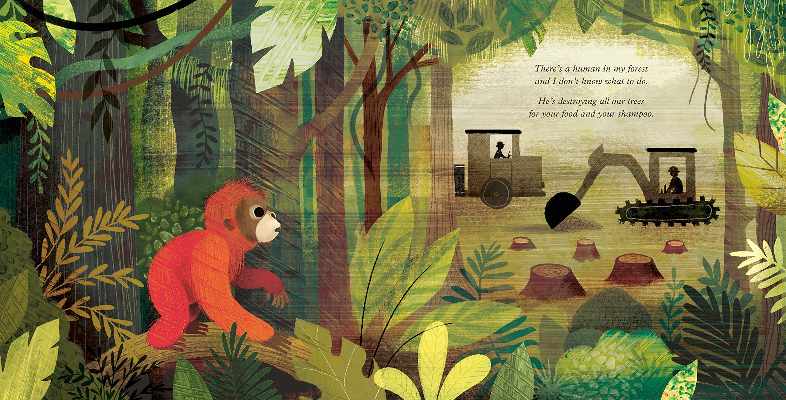 Rang Tan resource pack for schools - Greenpeace UK