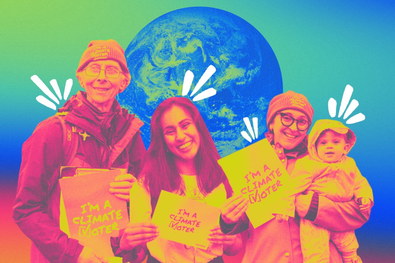 Volunteering and activism - Greenpeace UK
