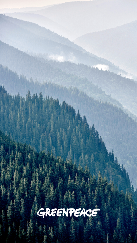 Free nature wallpapers for your phone - Greenpeace UK