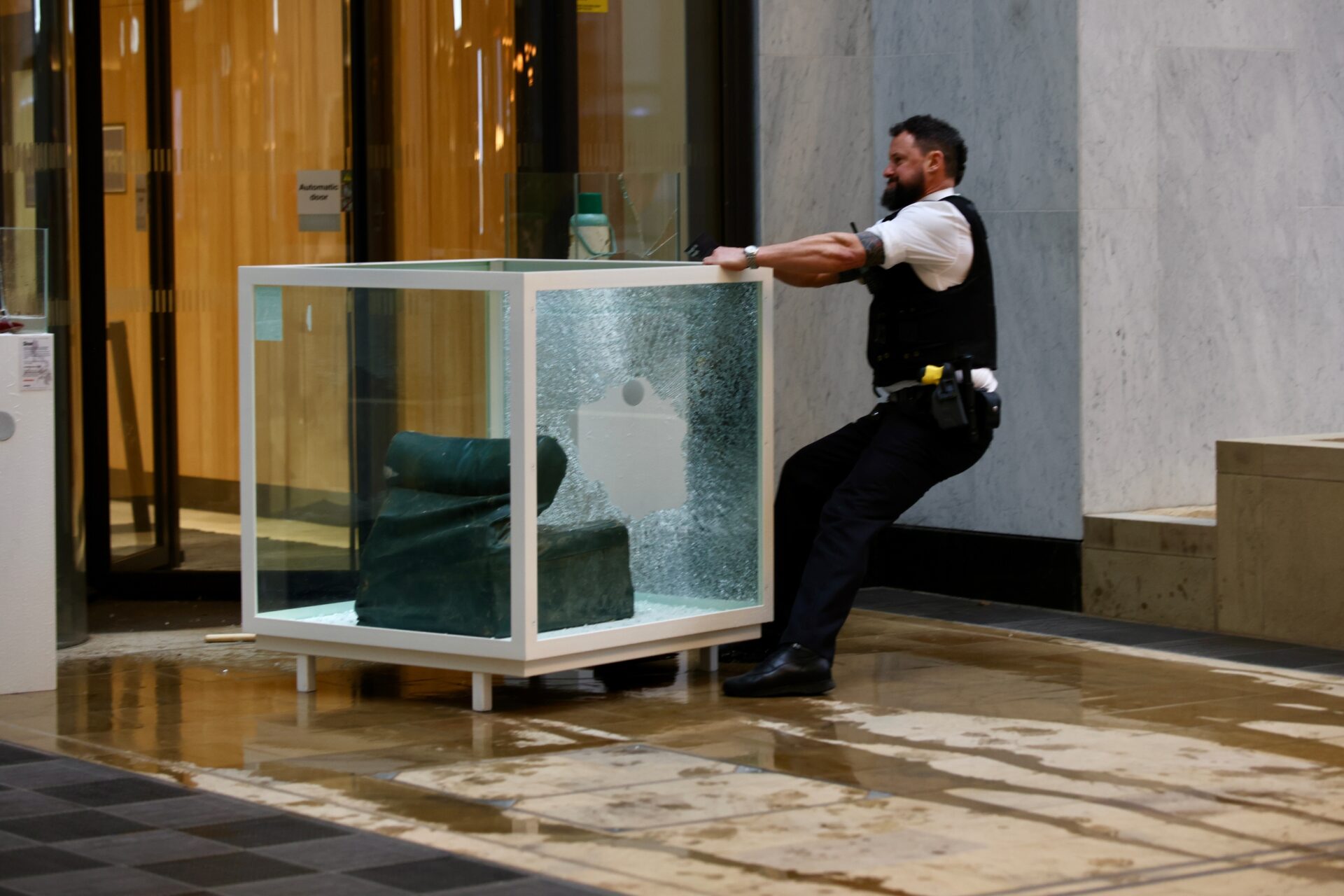 Why Greenpeace activists made a smash at Shell's HQ - Greenpeace UK