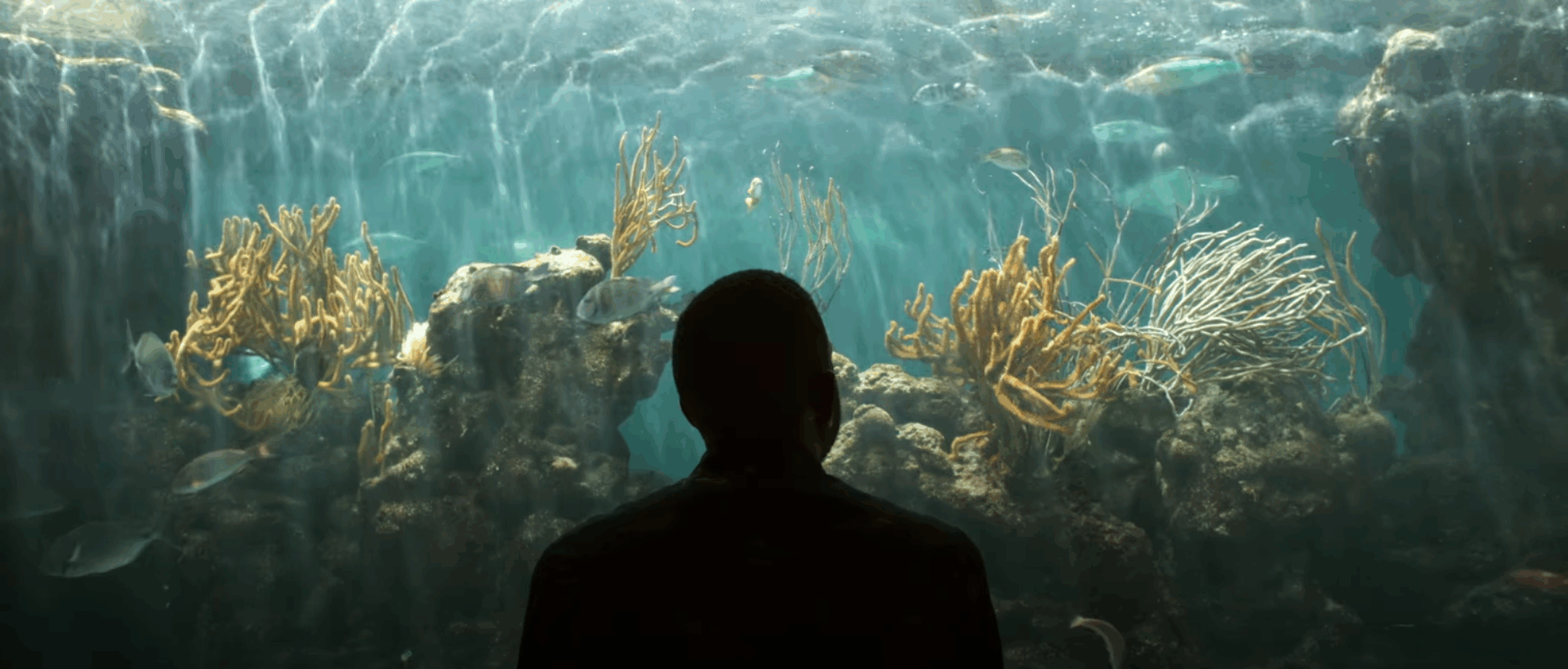 If you care about our oceans, this film is a must-watch - Greenpeace UK