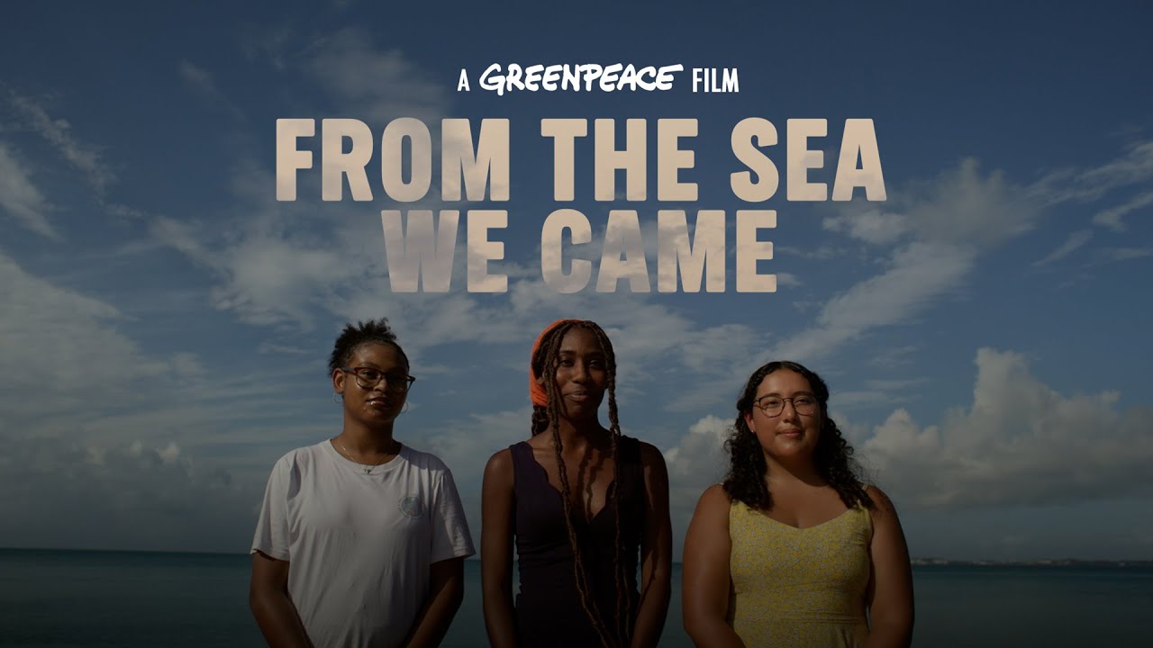 If you care about our oceans, this film is a must-watch - Greenpeace UK